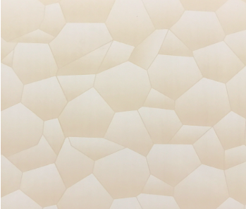 Camfly PVC Ceiling - 25B24 250mm x 4m – Megastar Home and Commercial ...