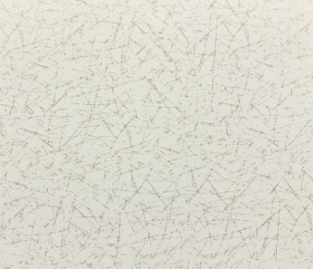 Camfly PVC Ceiling - 25M10 250mm x 4m – Megastar Home and Commercial Products Pty LTD